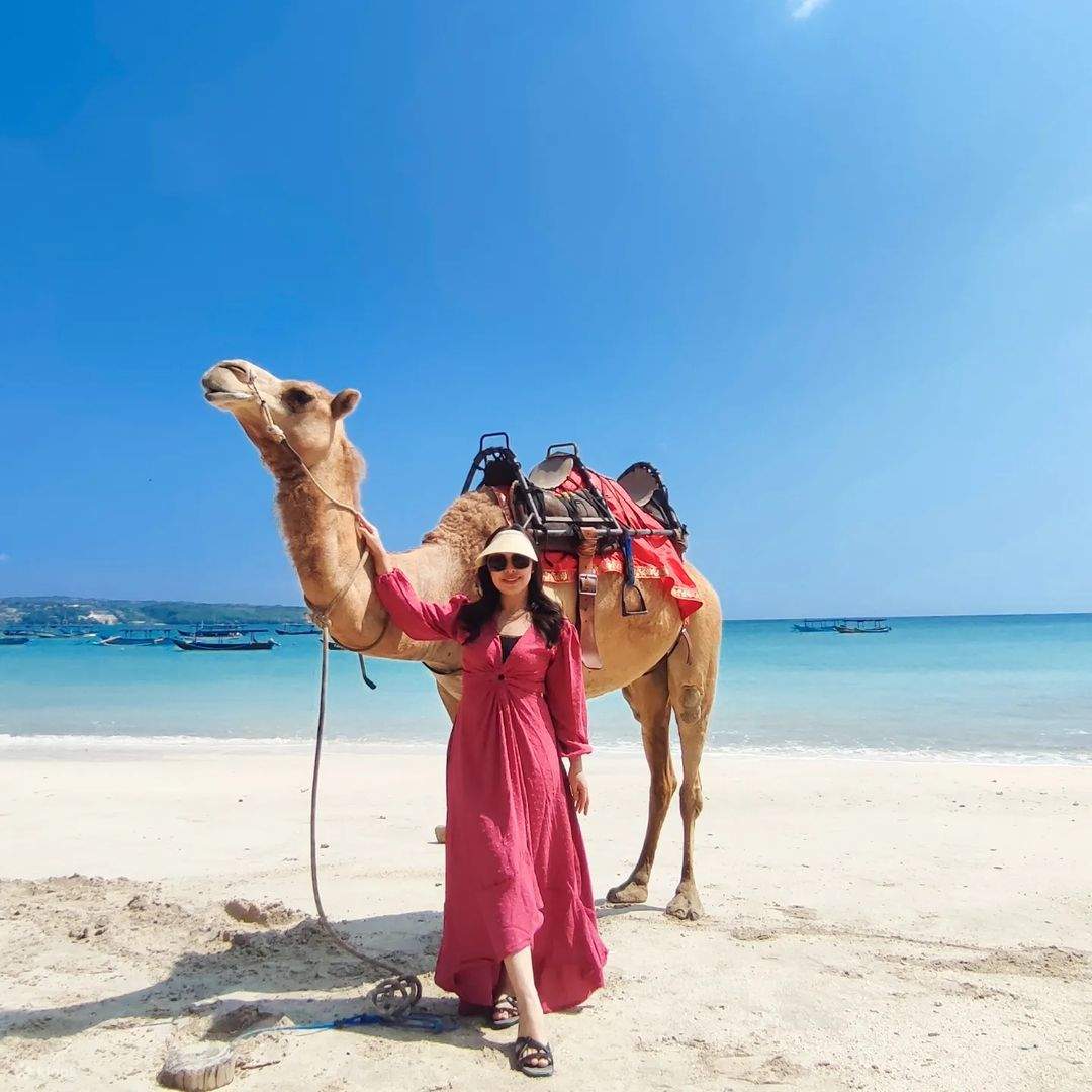 Camel Ride Experience in Bali - Klook
