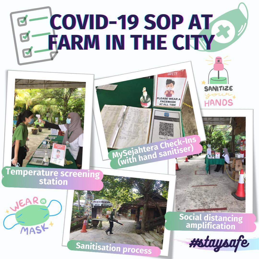 Farm In The City Ticket - Klook Malaysia