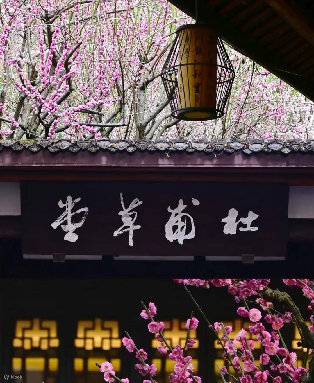 One-day car charter in Chengdu - Klook Россия