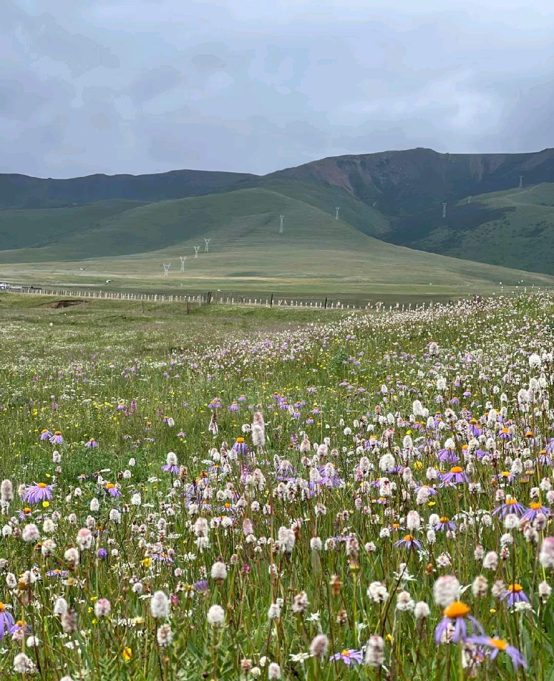 Gongga Pilgrimage: 7-Day Western Sichuan Loop (SLR & Drone Photography ...
