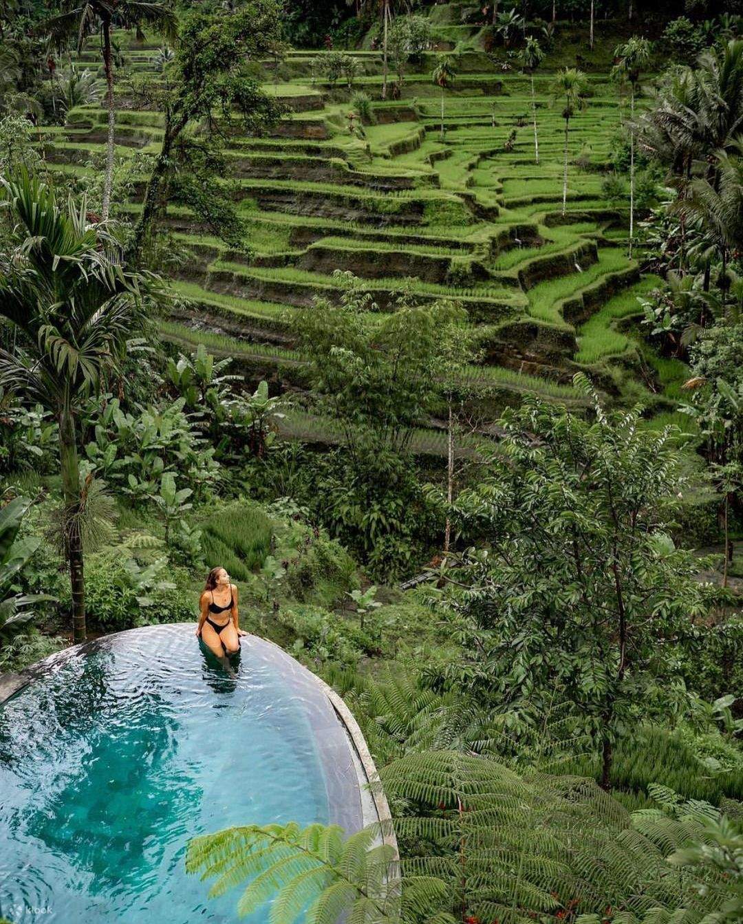 Tis Cafe Tegallalang, Mount Batur Jeep, and Waterfalls Private Day Trip ...