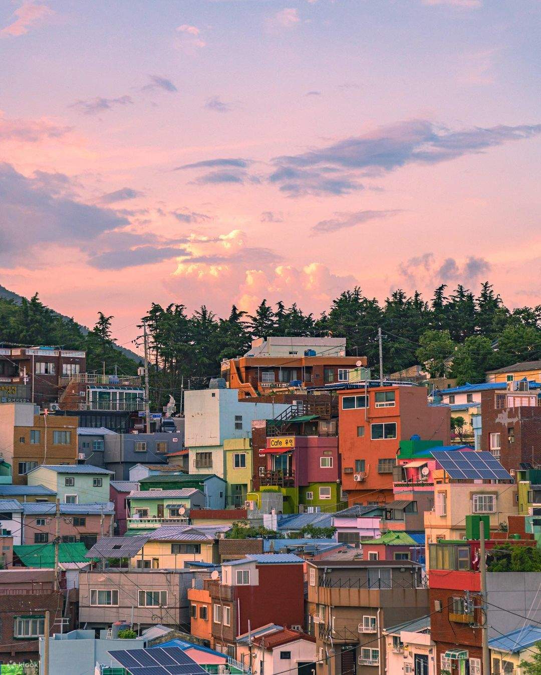 Klook Busan Gyeongju One Day Tour From Busan Klook Singapore