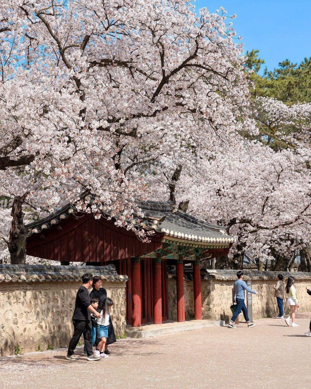 [Klook] Tur Satu Hari Busan + Gyeongju dari Busan - Klook Indonesia
