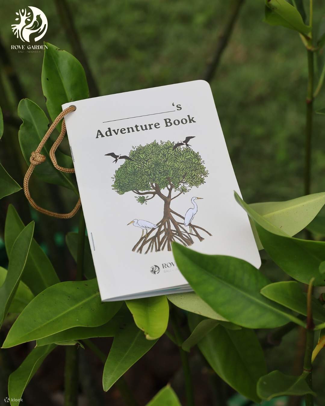 Mangrove Tour by Rove Garden Bali - Klook Singapore