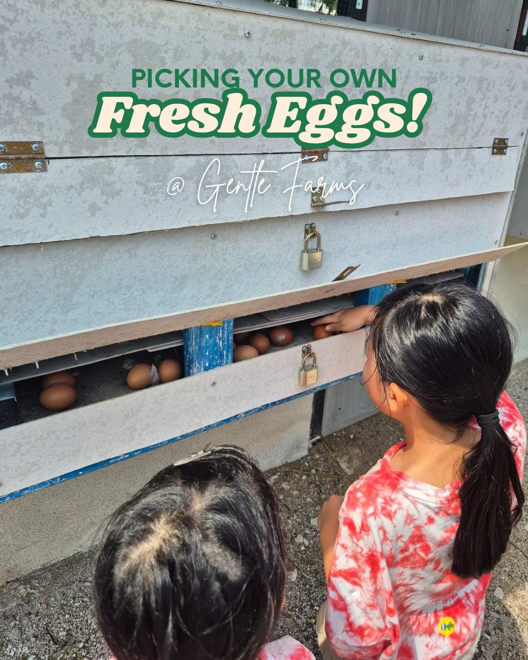 Các Tour Gentle Farms ở Johor Bahru - Klook Việt Nam