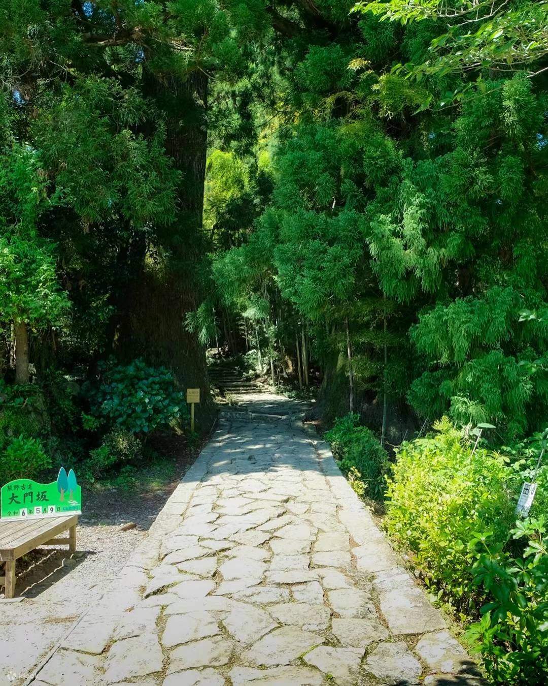 Kumano Kodo Walking Trail & Nachi Falls One Day Tour from Nagoya ...
