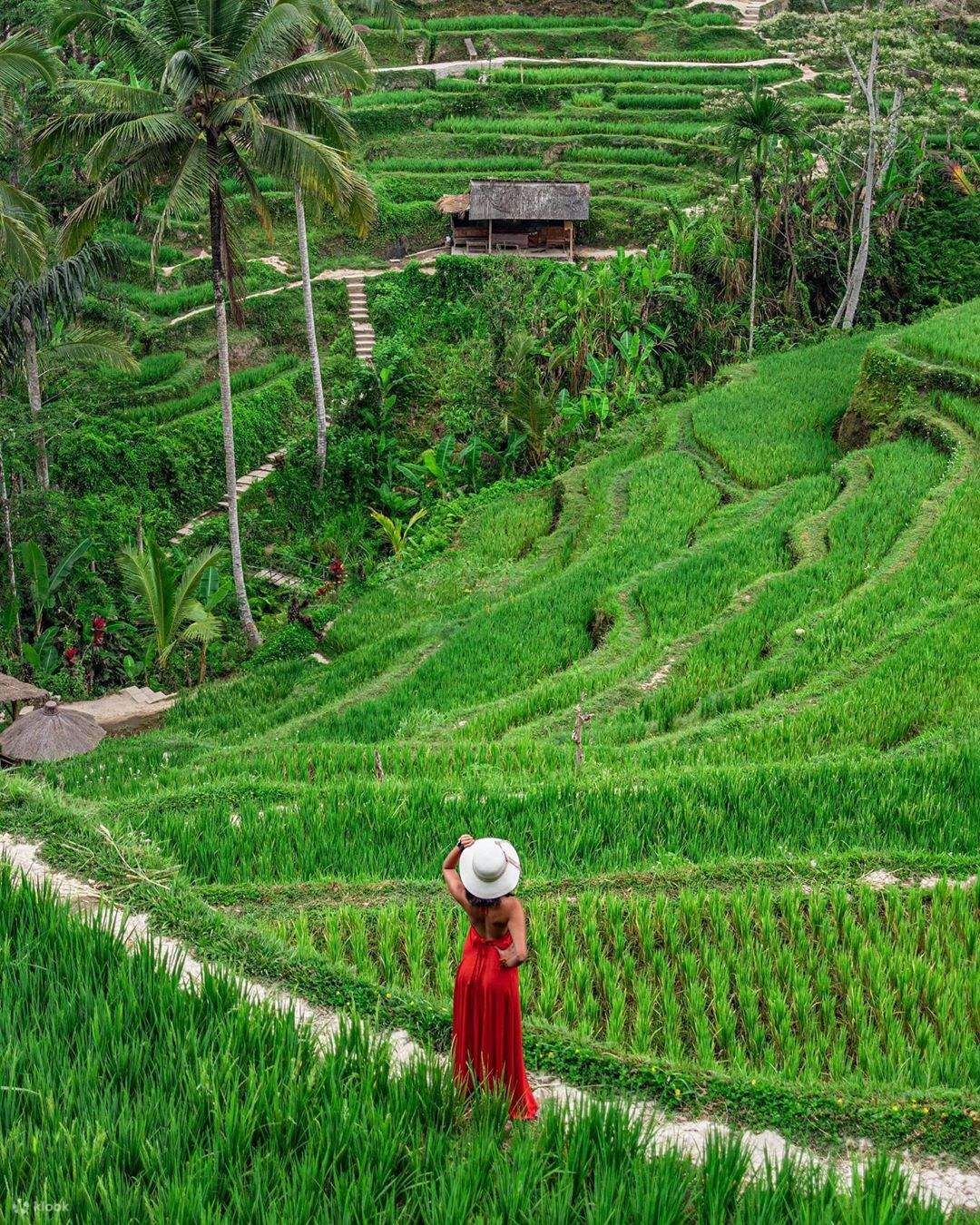 Tour della terra del villaggio di Penglipuran da Bali - Klook Stati Uniti