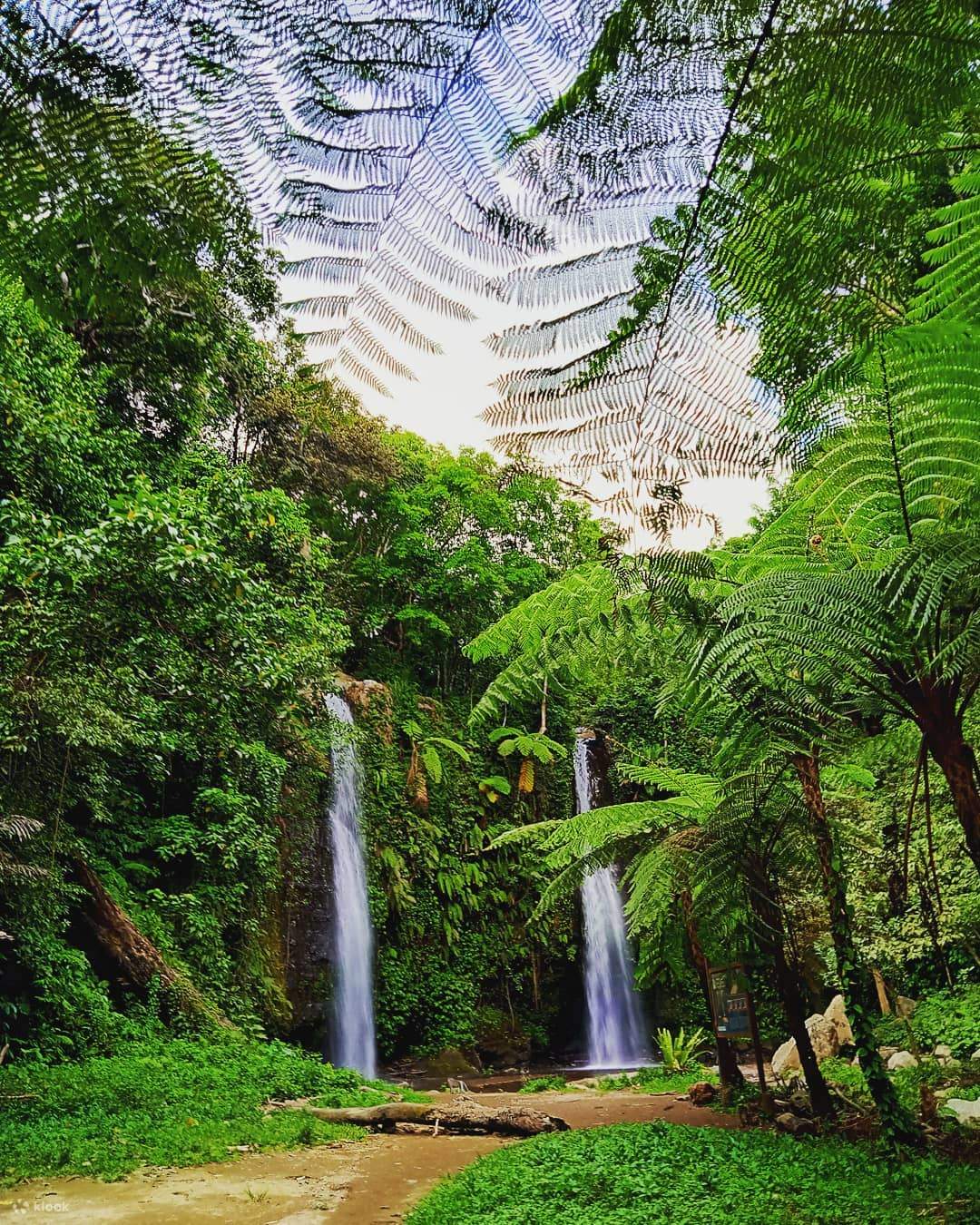 Benang Stokel and Benang Kelambu Waterfall Trekking Trip from Lombok ...