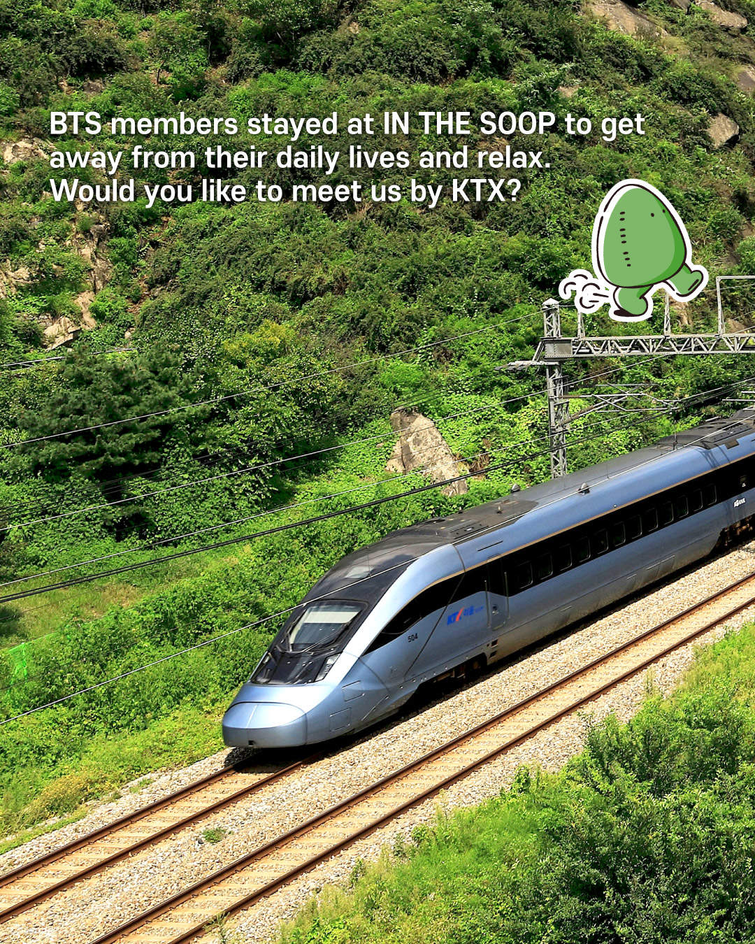 KTX 인더숲 일일 투어 - 클룩 Klook 한국