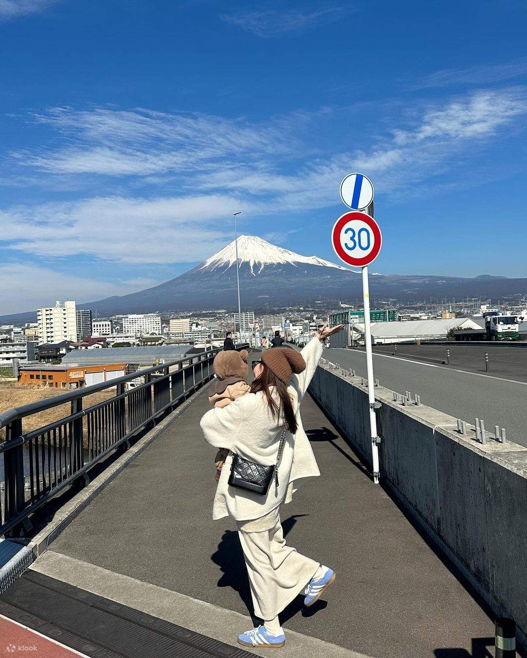 Mount Fuji Arakurayama Sengen Park and Yumeno hashi One Day Bus Tour ...