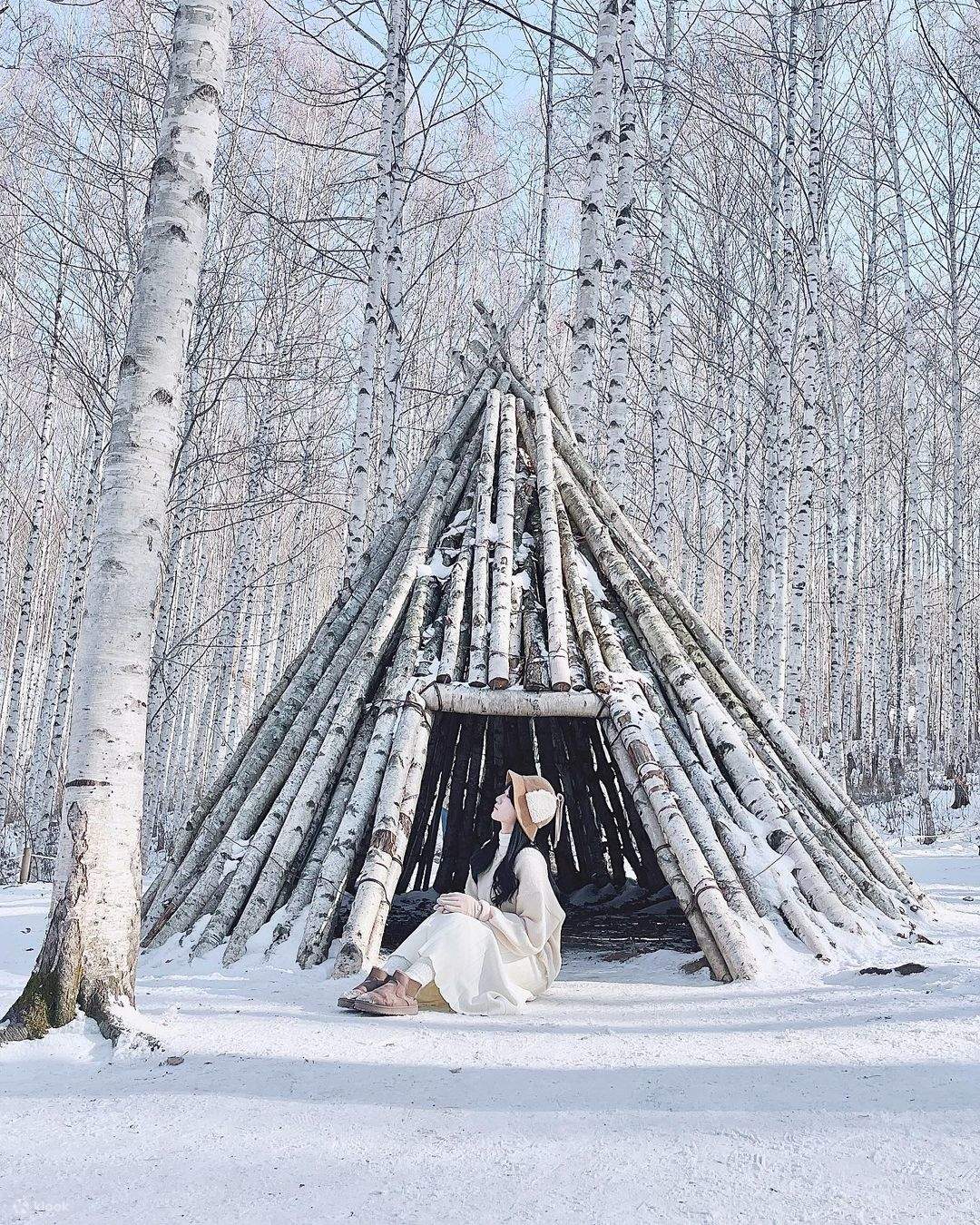 Wondae-ri Birch Forest, In-je Maebawi icewall One-day tour - Klook ...