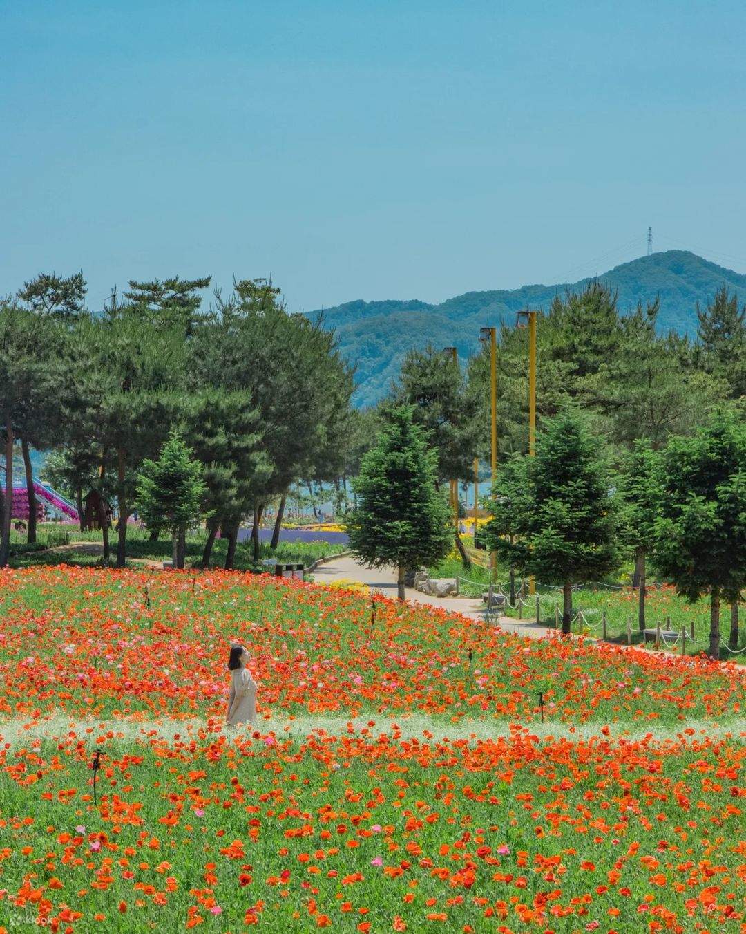 [Lawatan sehari dari Seoul] Pulau Nami, Taman Air, Namhansanseong ...