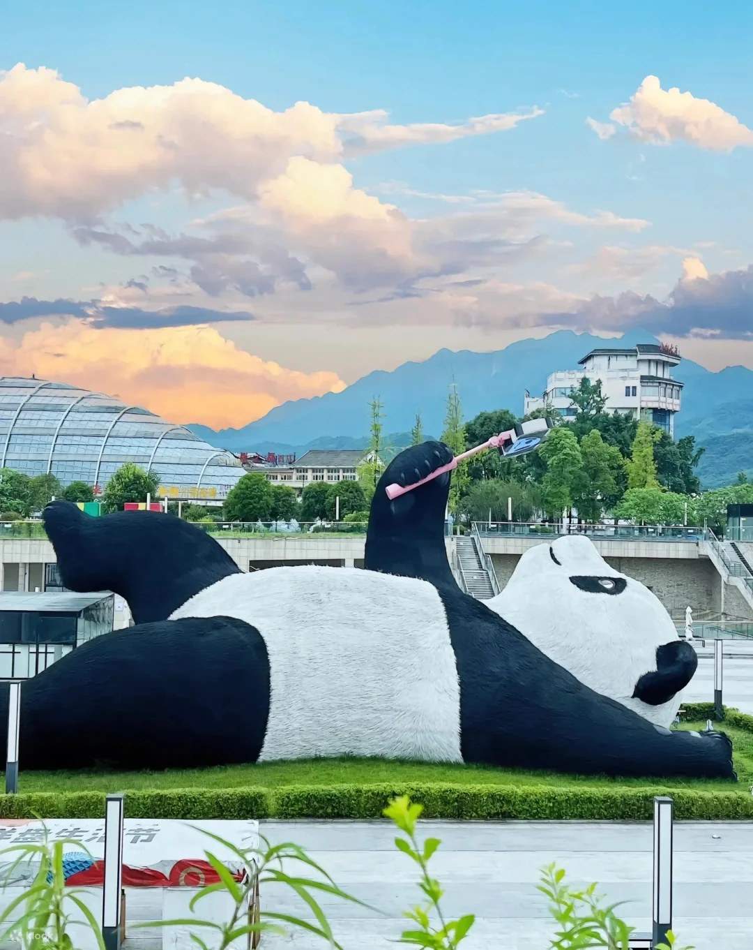 Sichuan Dujiangyan + Sanxingdui / Qingcheng Mountain / Panda Valley ...