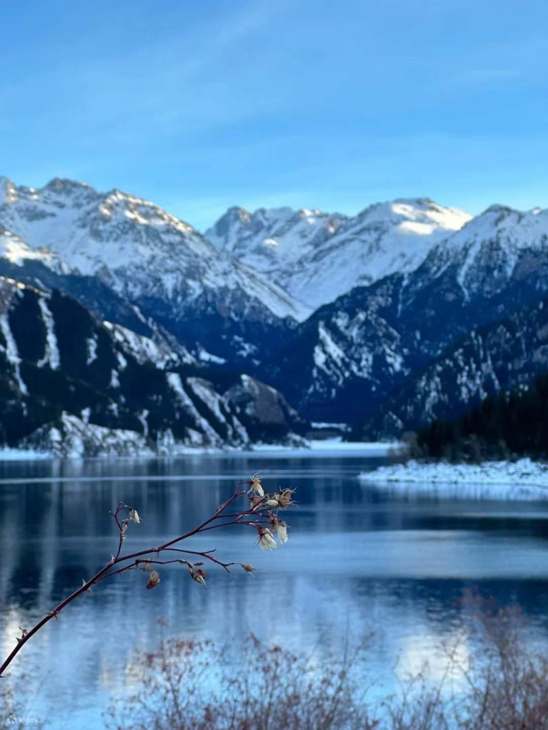 8-day tour of Ili Altay in northern Xinjiang (Tianshan Tianchi + Ahe ...