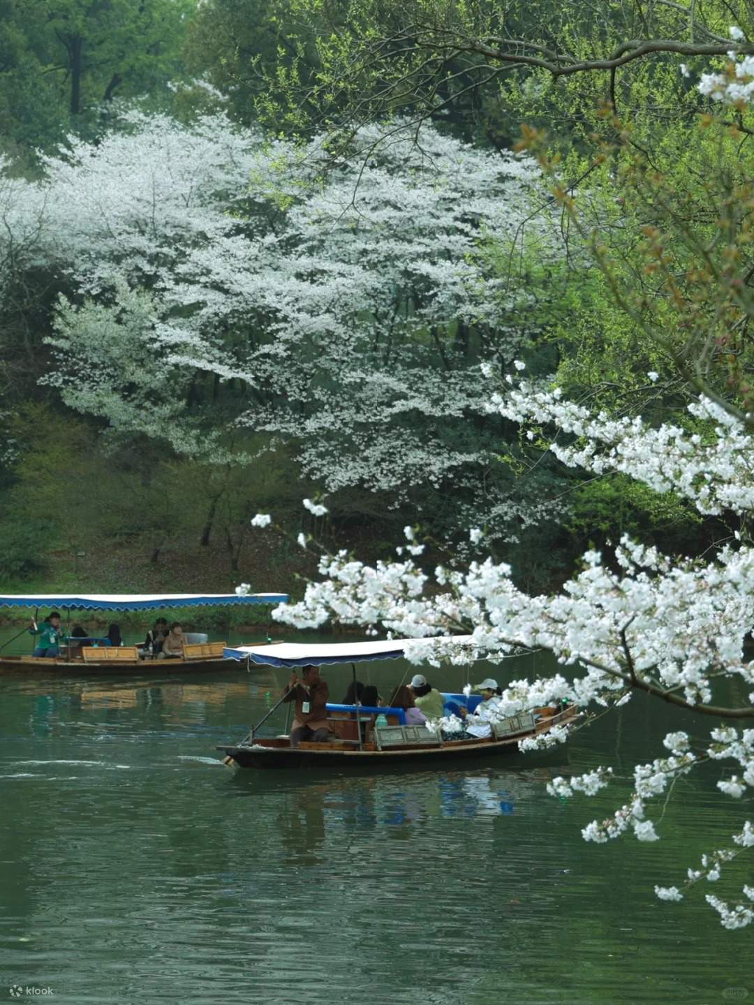 Hangzhou + Xixi National Wetland Park Half Day Tour - Klook India