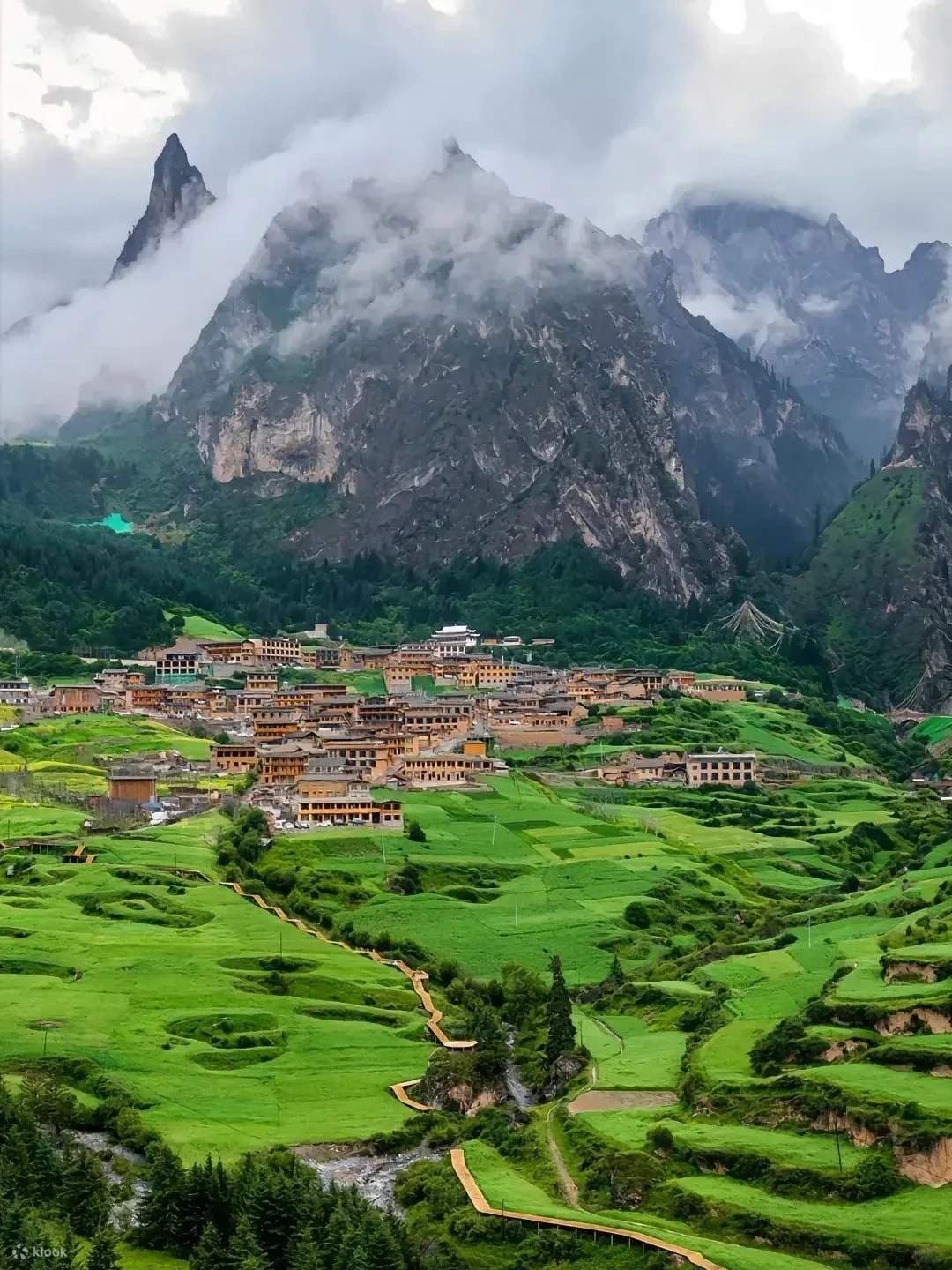 One-Day Tour from Lanzhou to Labrang Monastery, Sangke Grassland, and ...