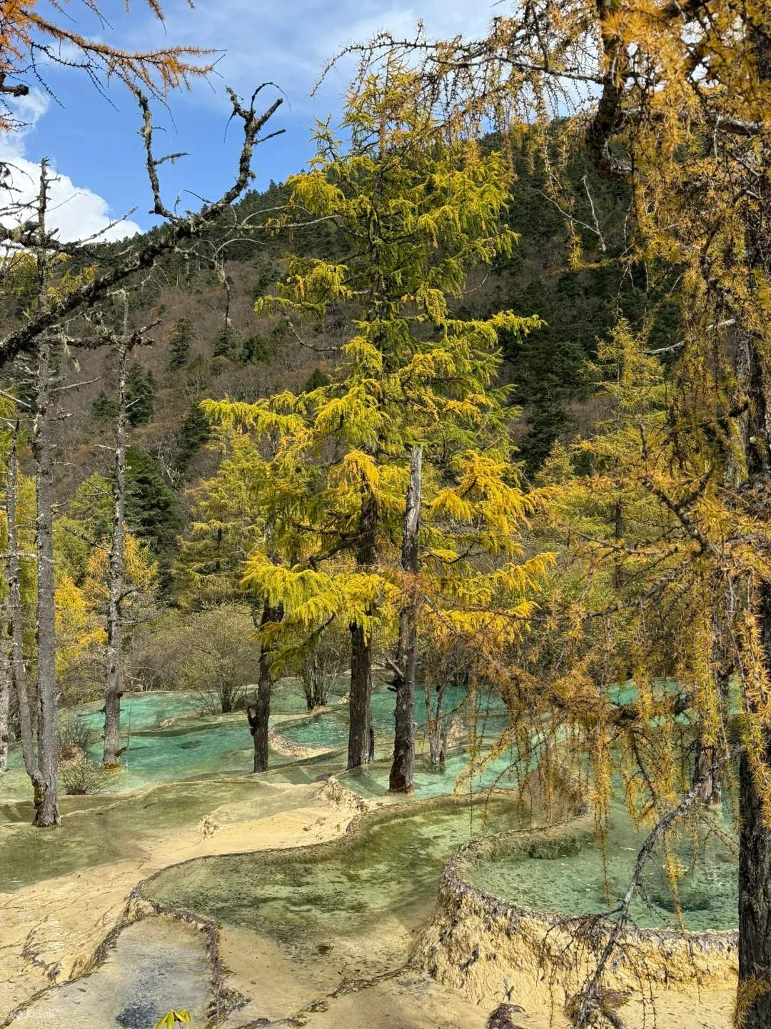 Jiuzhaigou + Huanglong Scenic Area 2 Days 1 Night Tour (2-8 people ...
