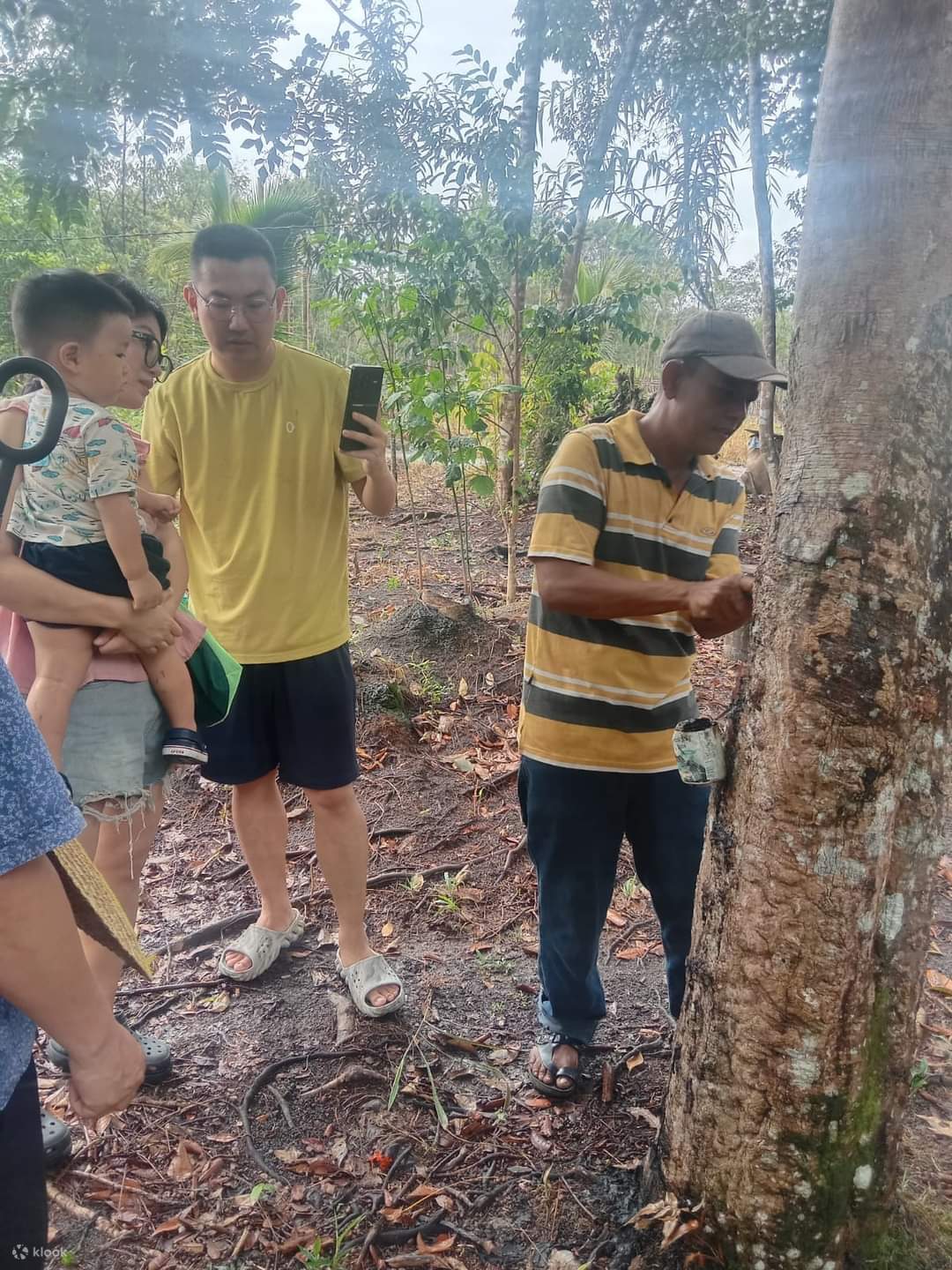 Bintan Blue Lake & Edufarm Tour by Taxi Bintan Island Private Five Hour ...