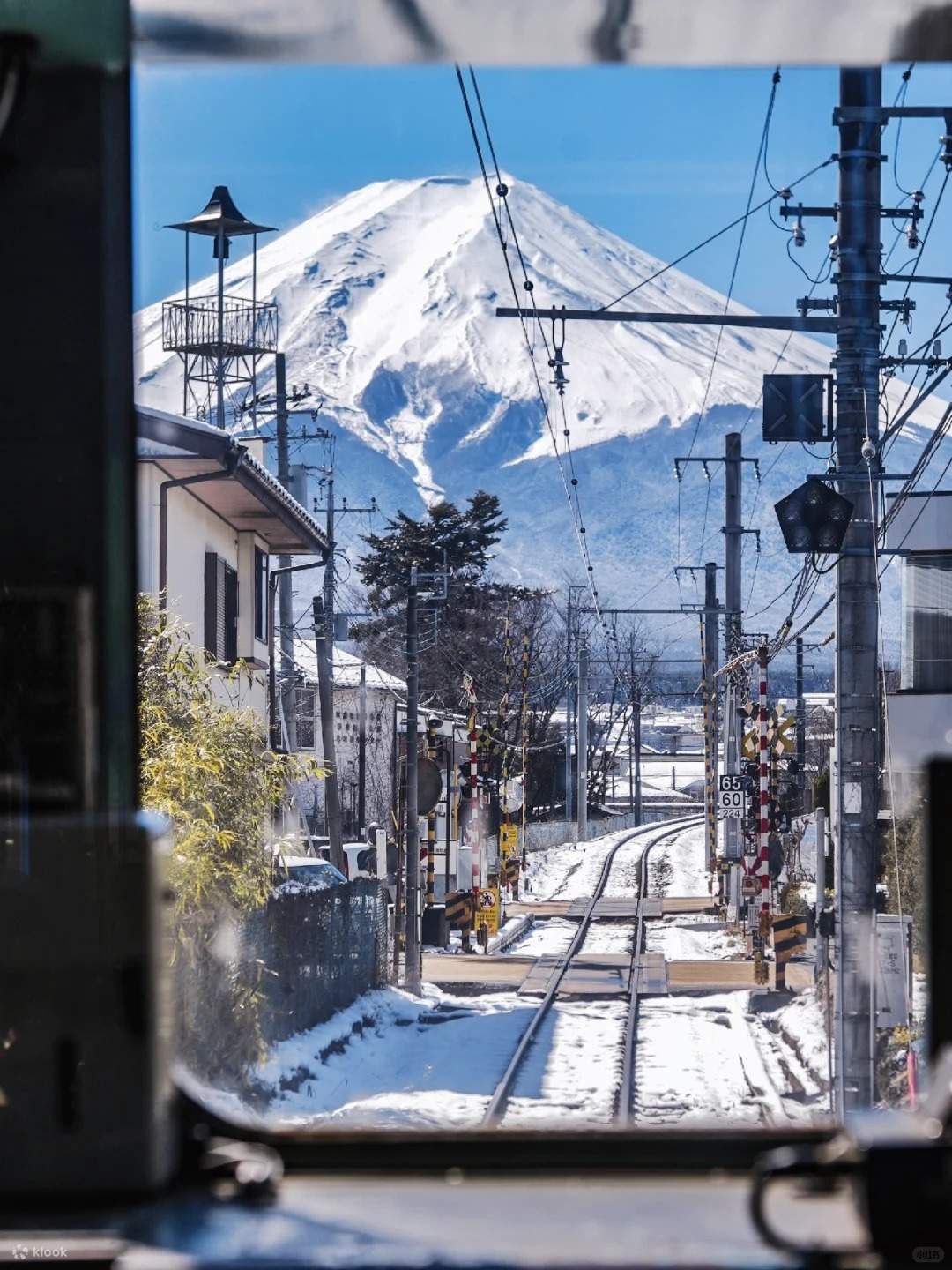 Mount Fuji Yamanashi Fruit Picking & Kawaguchiko Landmark Sightseeing ...