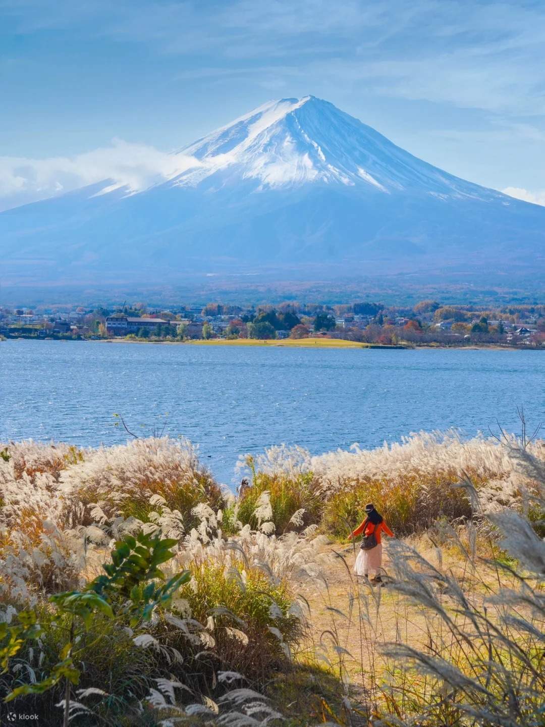 Mount Fuji Yamanashi Fruit Picking & Kawaguchiko Landmark Sightseeing ...