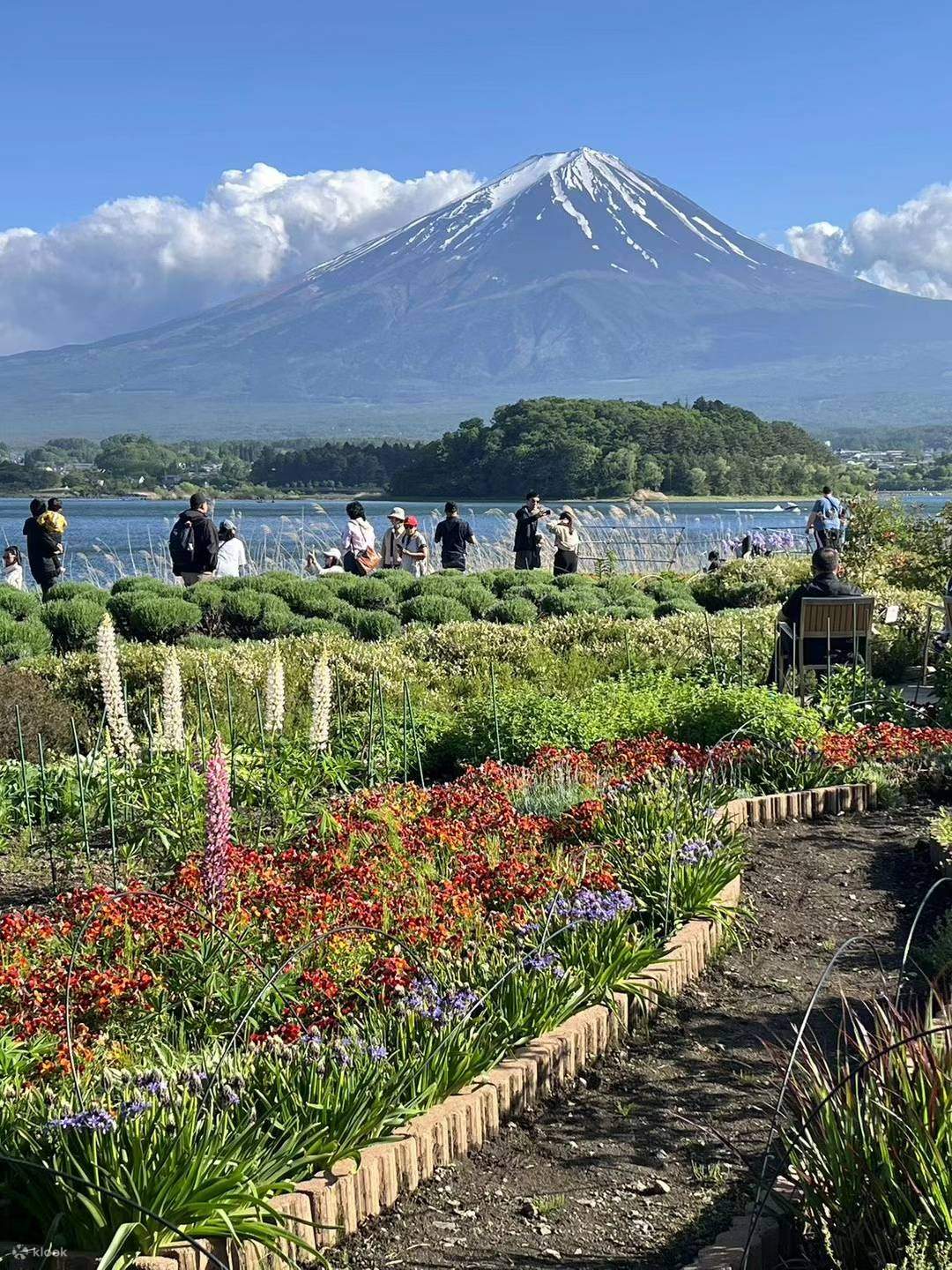 [Mount Fuji, Hakone, Kawaguchiko, and Flower Viewing] 7-11 Convenience ...