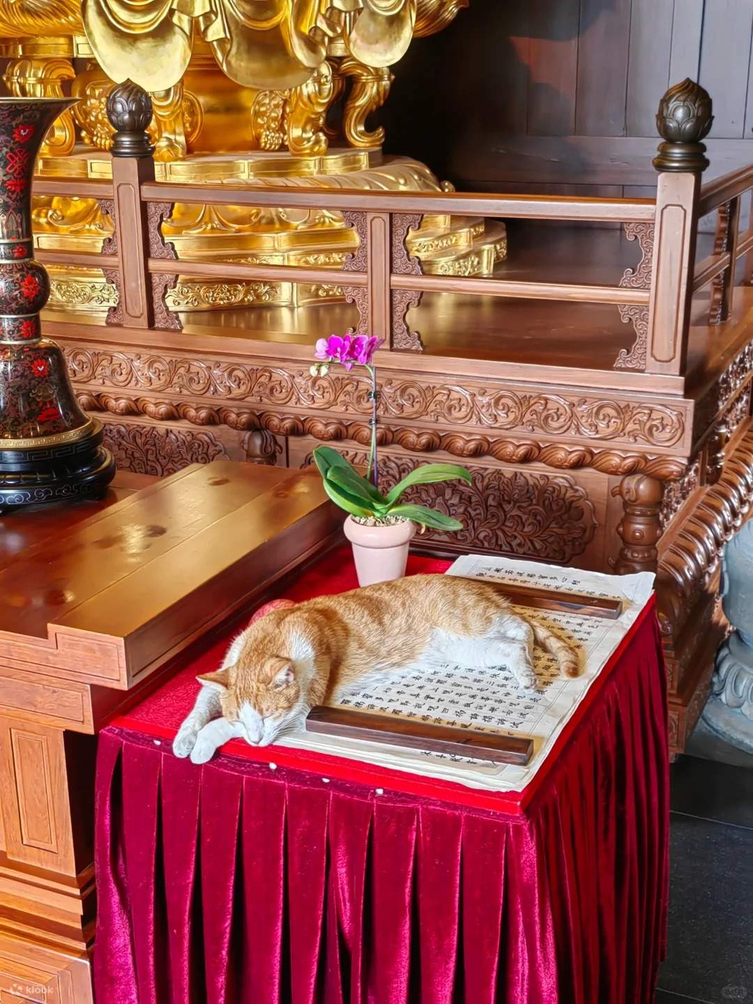 Shanghai Magic City Classic Temple Pilgrimage Day Tour (Small Group of ...