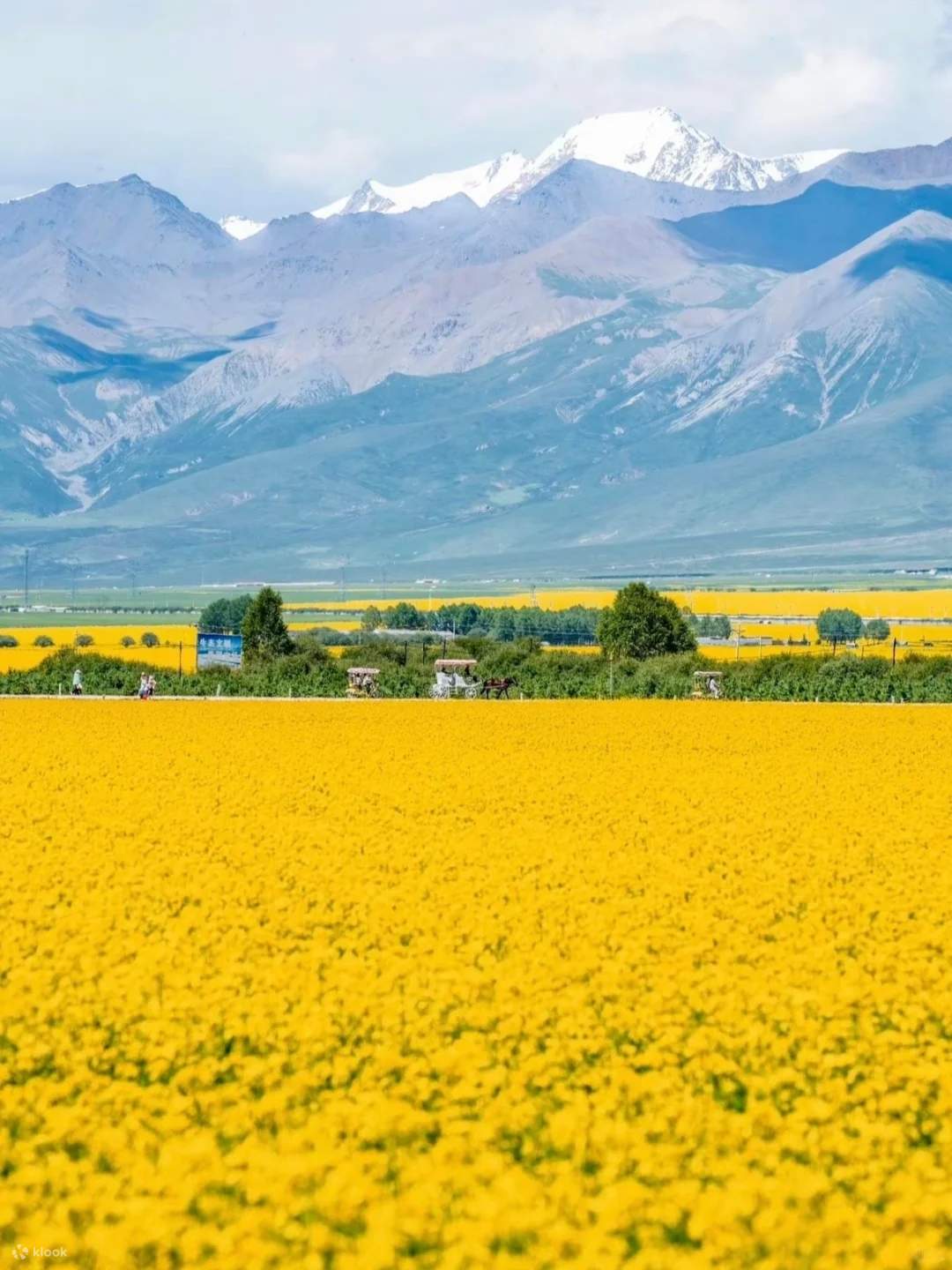 7-day tour of the Northwest for 2-8 people in a small group in Qinghai ...