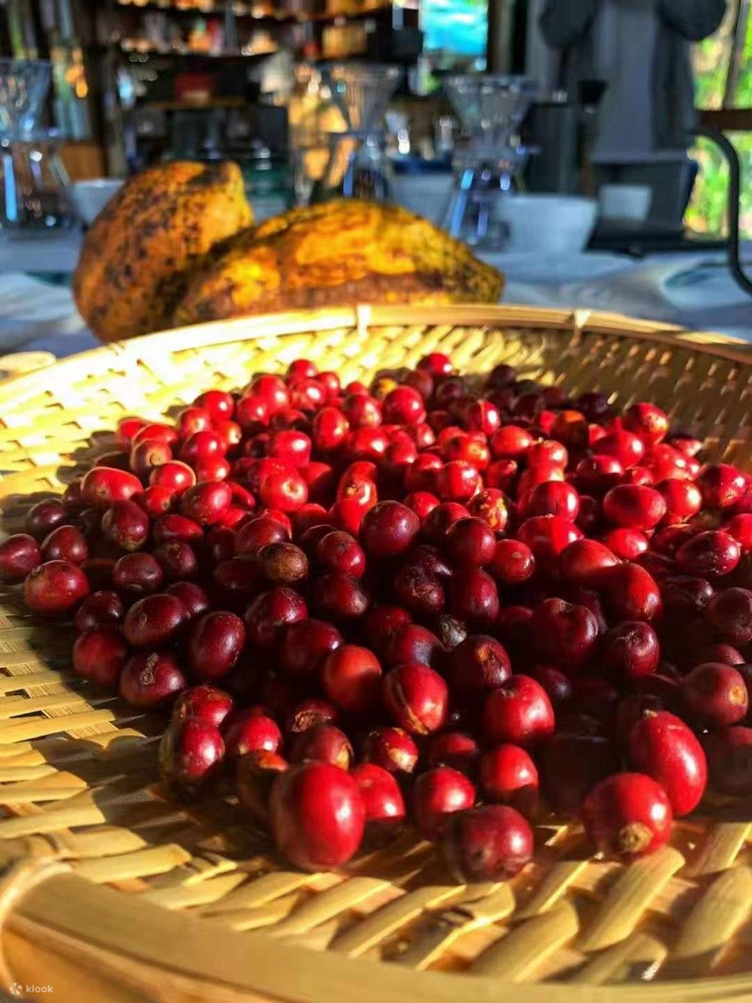 Experience the charm of hand-poured coffee and Italian latte art in a ...