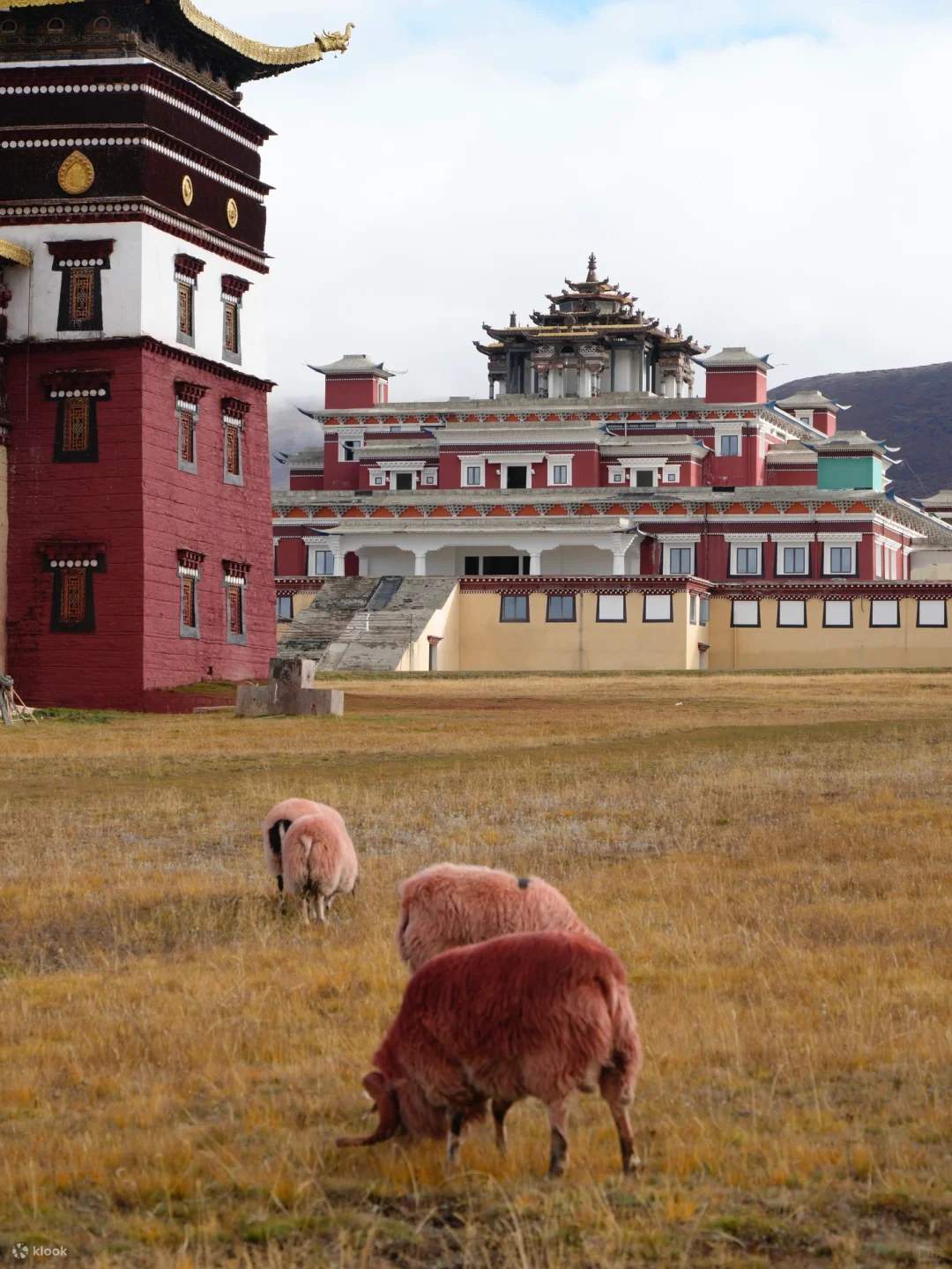Circuit Haoran de 6 jours dans l'ouest du Sichuan (Daocheng Yading ...