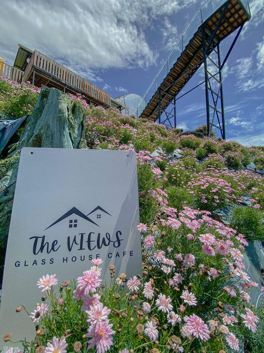 Cameron Highlands Full Day Sightseeing Tour - Klook Singapore