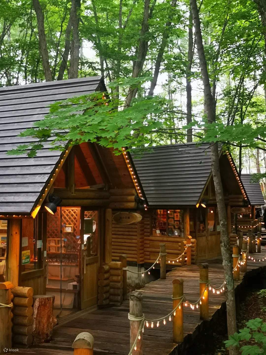 Hokkaido｜Biei Furano & Farm Tomita & Shikisai-no-Oka Day Tour｜Depart ...