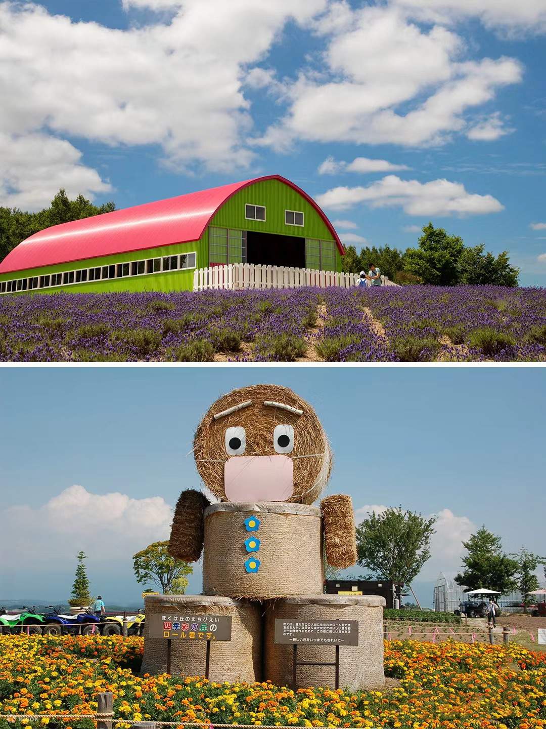 Dagtrip naar Furano & Biei Aoiike & Shikisai-no-oka (vertrek vanuit ...