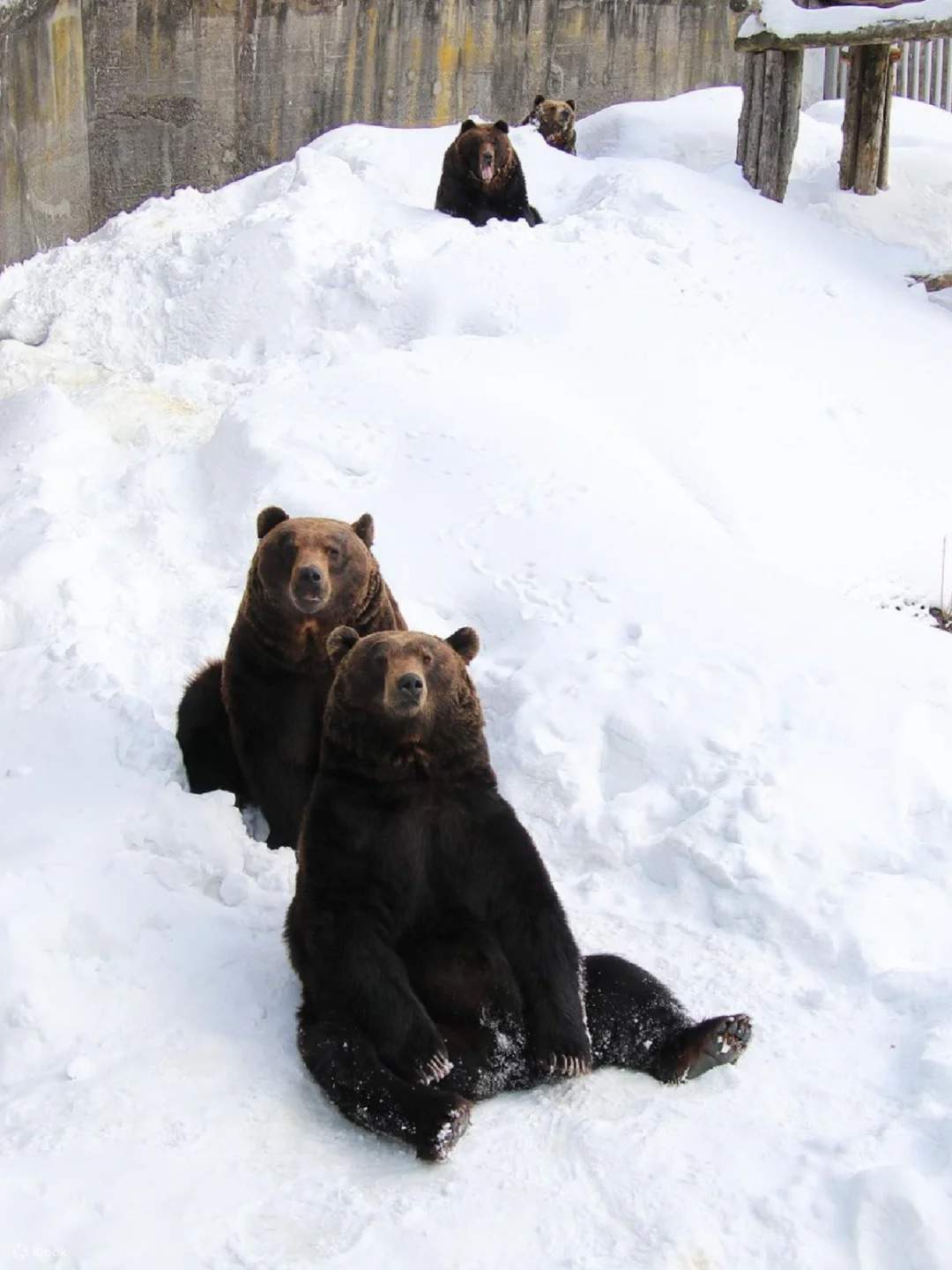 Hokkaido Noboribetsu Toyako Bus Day Tour | Noboribetsu Jigokudani ...