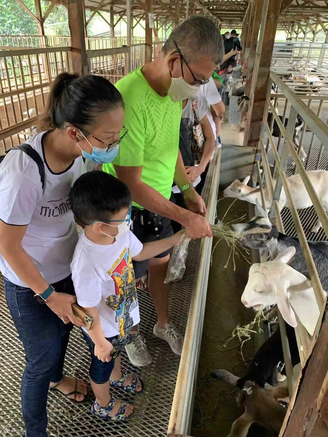 Singapore Farm Day Tour with Transport - Klook Canada