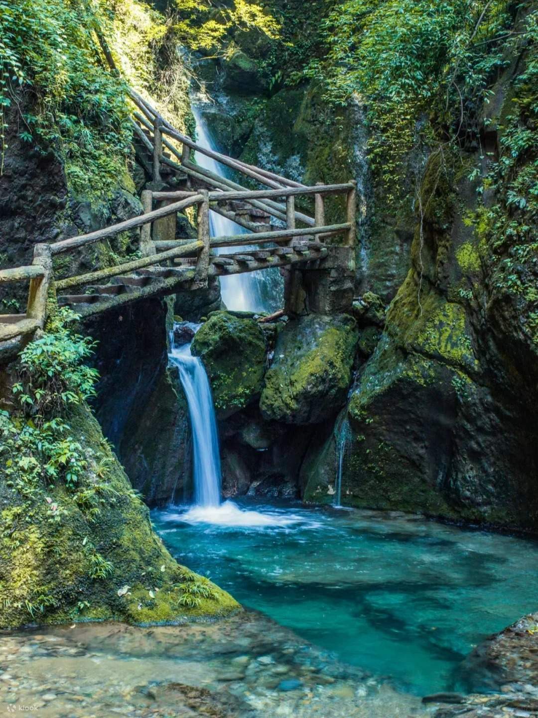 Eintägige Tour zum Berg Qingcheng und Dujiangyan in Chengdu (Dujiangyan ...