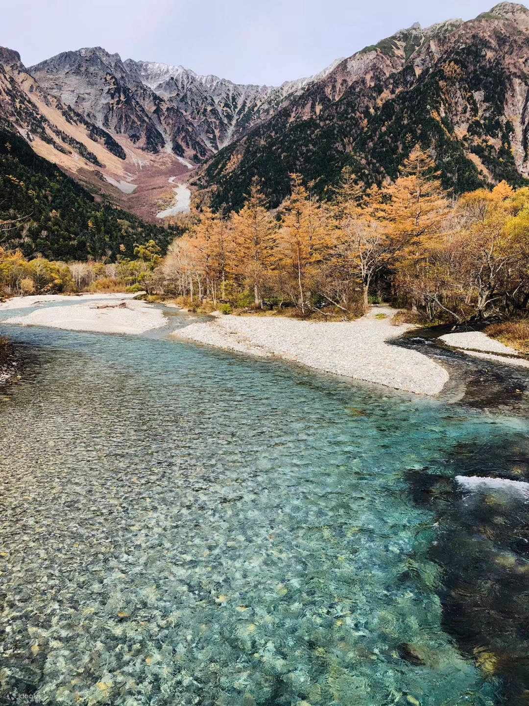 Tokyo Car Rental with Driver to Tokyo City/Mount Fuji/Hakone/Kamakura ...