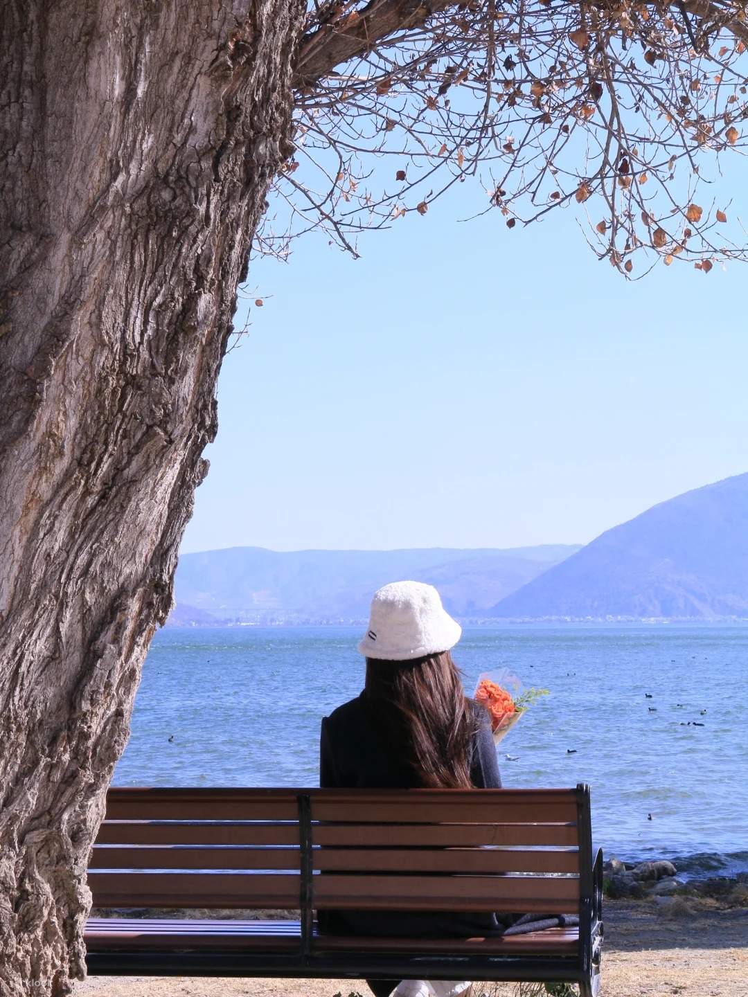 One-Day Erhai Lake Tour in Dali, Yunnan: A Romantic Journey to ...