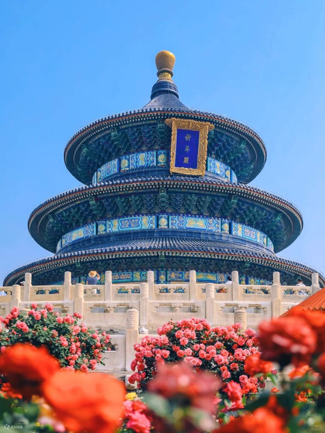 Half-Day Temple of Heaven Tour: Experience Beijing's Royal Heritage ...