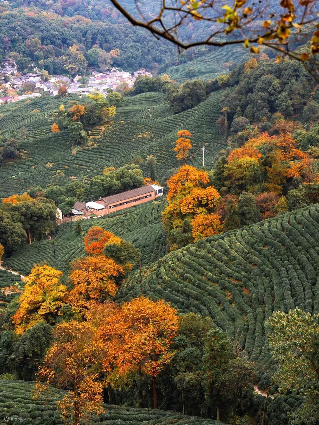 Hangzhou Shililangdang Classic One-Day Hiking Tour: Nine Creeks and ...