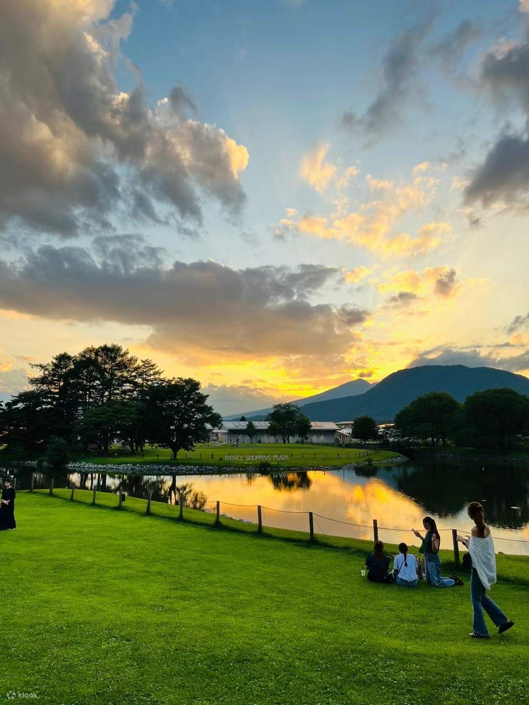 Tokyo Car Rental with Driver to Tokyo City/Mount Fuji/Hakone/Kamakura ...