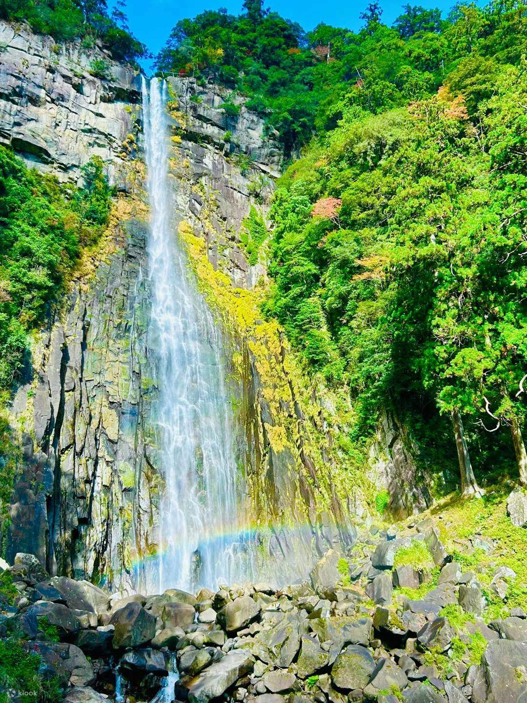 Kumano Kodo Walking Trail & Nachi Falls One Day Tour from Nagoya ...
