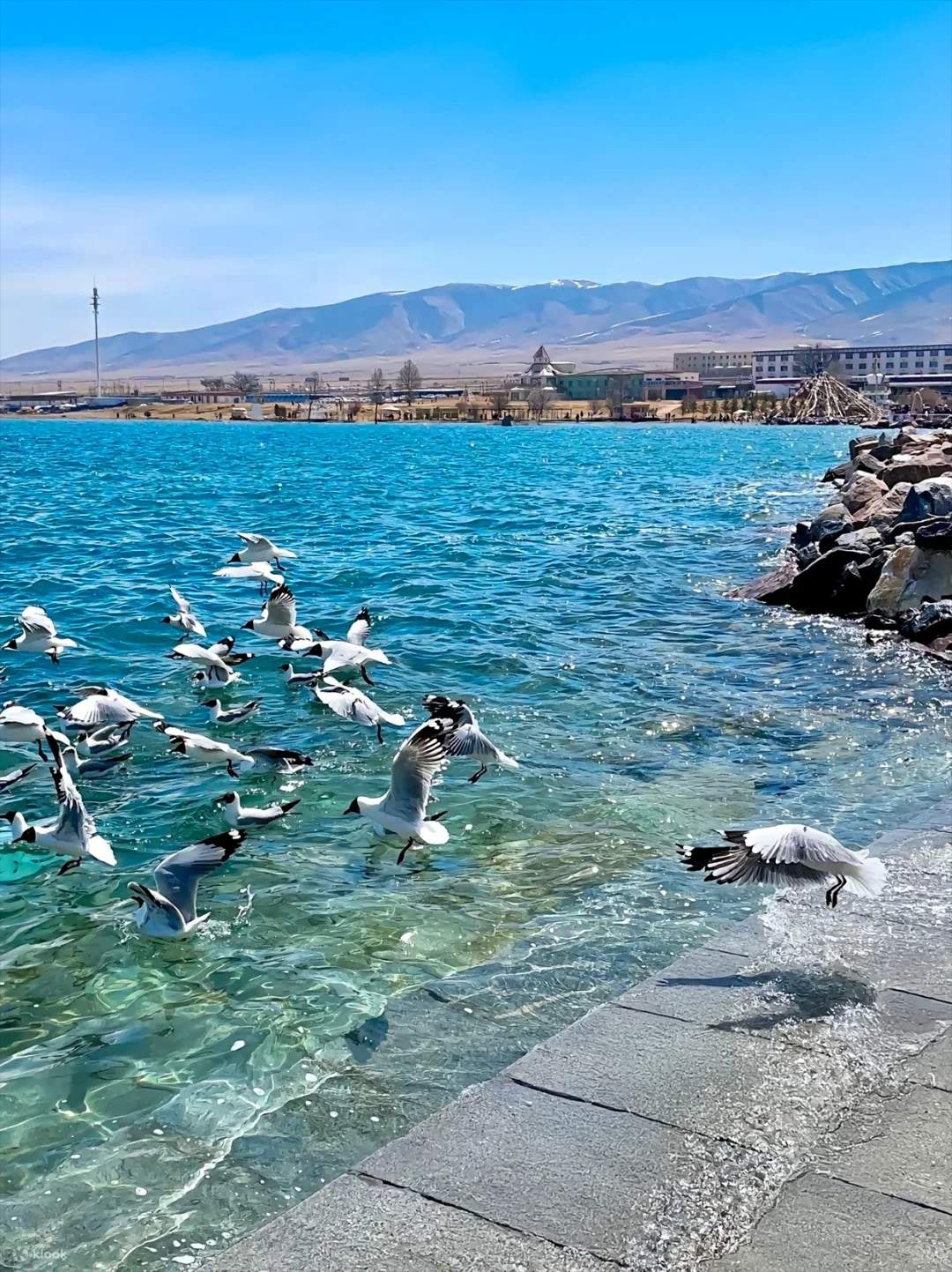 Qinghai Lake, Riyue Mountain, Laji Mountain, and Ta'er Monastery One ...