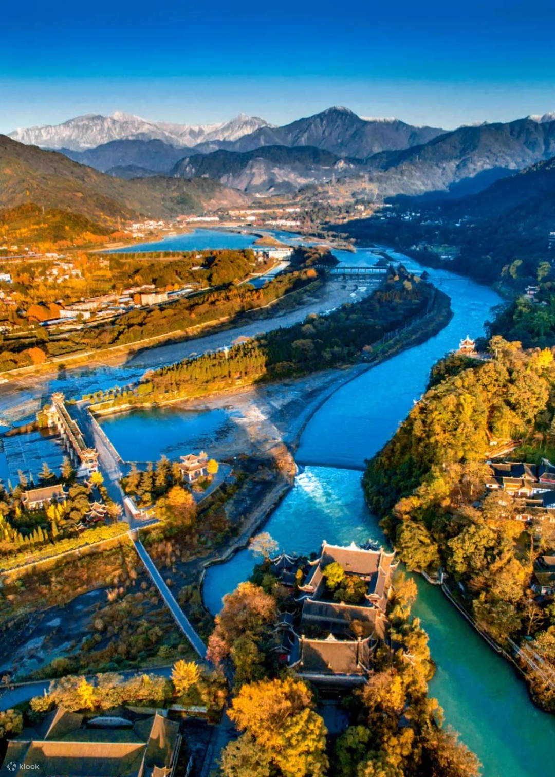 Tour privado de un día a la Base de Pandas de Chengdu + Museo de Sanxingdui/Dujiangyan/Gran Buda ...