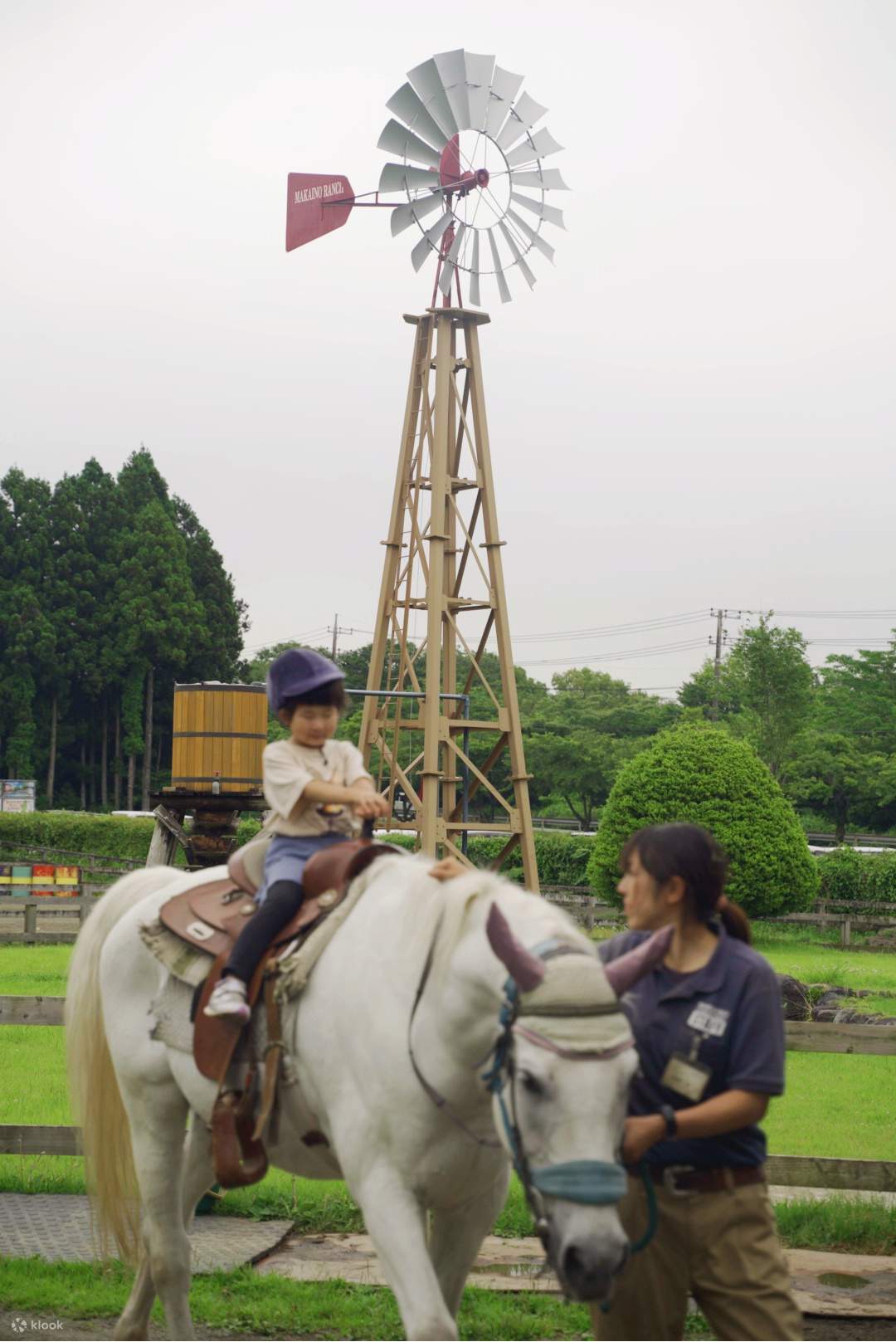 Mount Fuji Family-friendly One-Day Tour: Oishi Park, Lawson Convenience ...