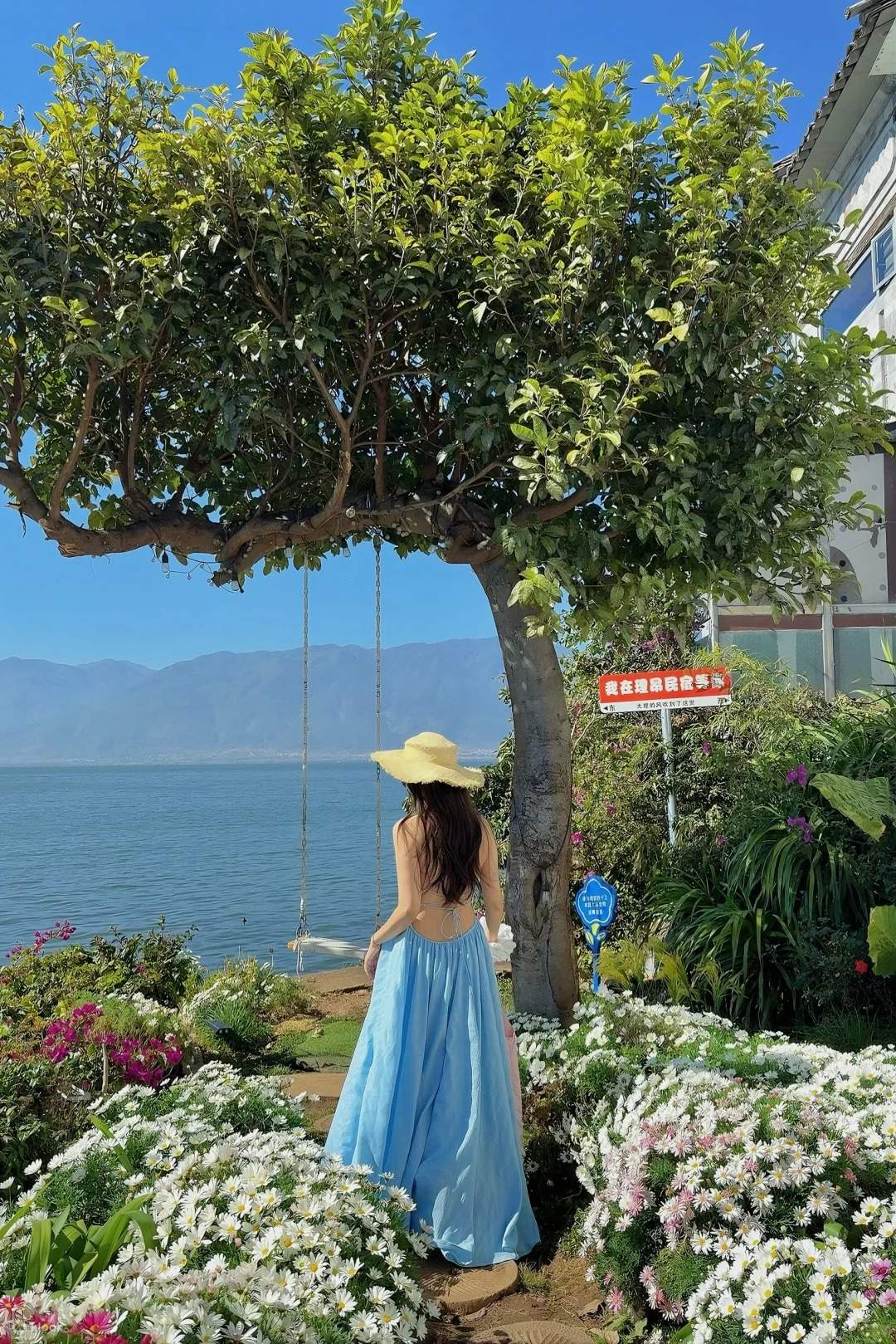 Tur Sehari Mengelilingi Danau Erhai, Dali, Yunnan: Perjalanan Romantis ...