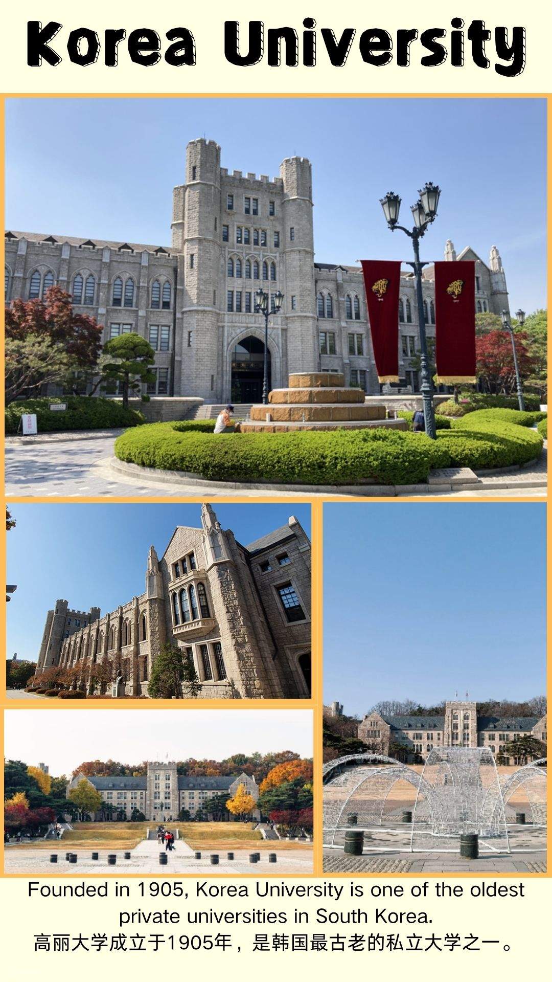 Top University Visits and Korean Cultural Immersion One-Day Tour - Klook