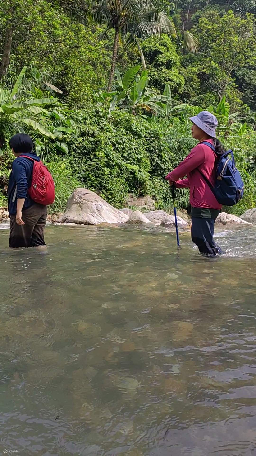 The Best Trekking Bogor Adventure to 5 Waterfalls (Start from Jakarta ...