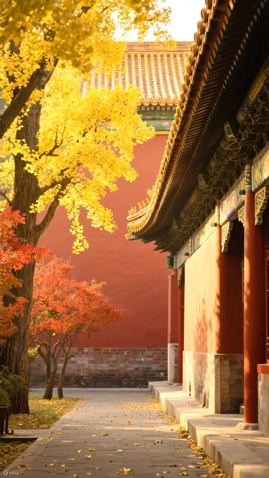 5-Day Beijing Highlights Tour (Small Group of 6 + Bilingual Chinese and ...