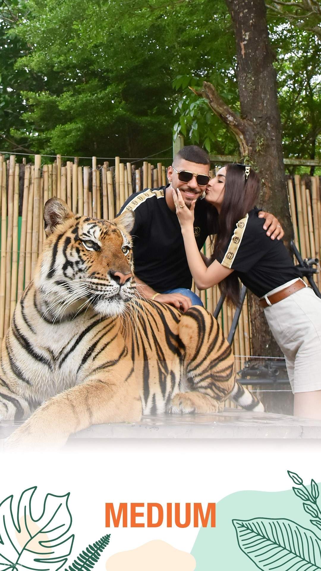 Tiger Kingdom with Transfer - Klook Singapore