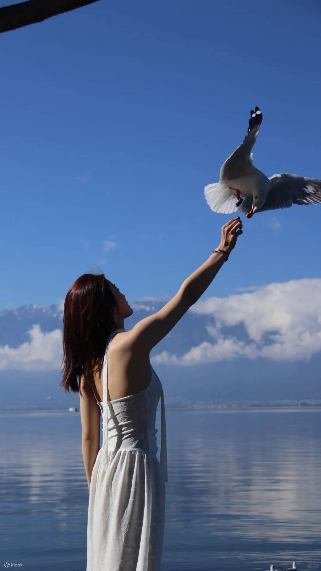 Tur Sehari Mengelilingi Danau Erhai, Dali, Yunnan: Perjalanan Romantis ...